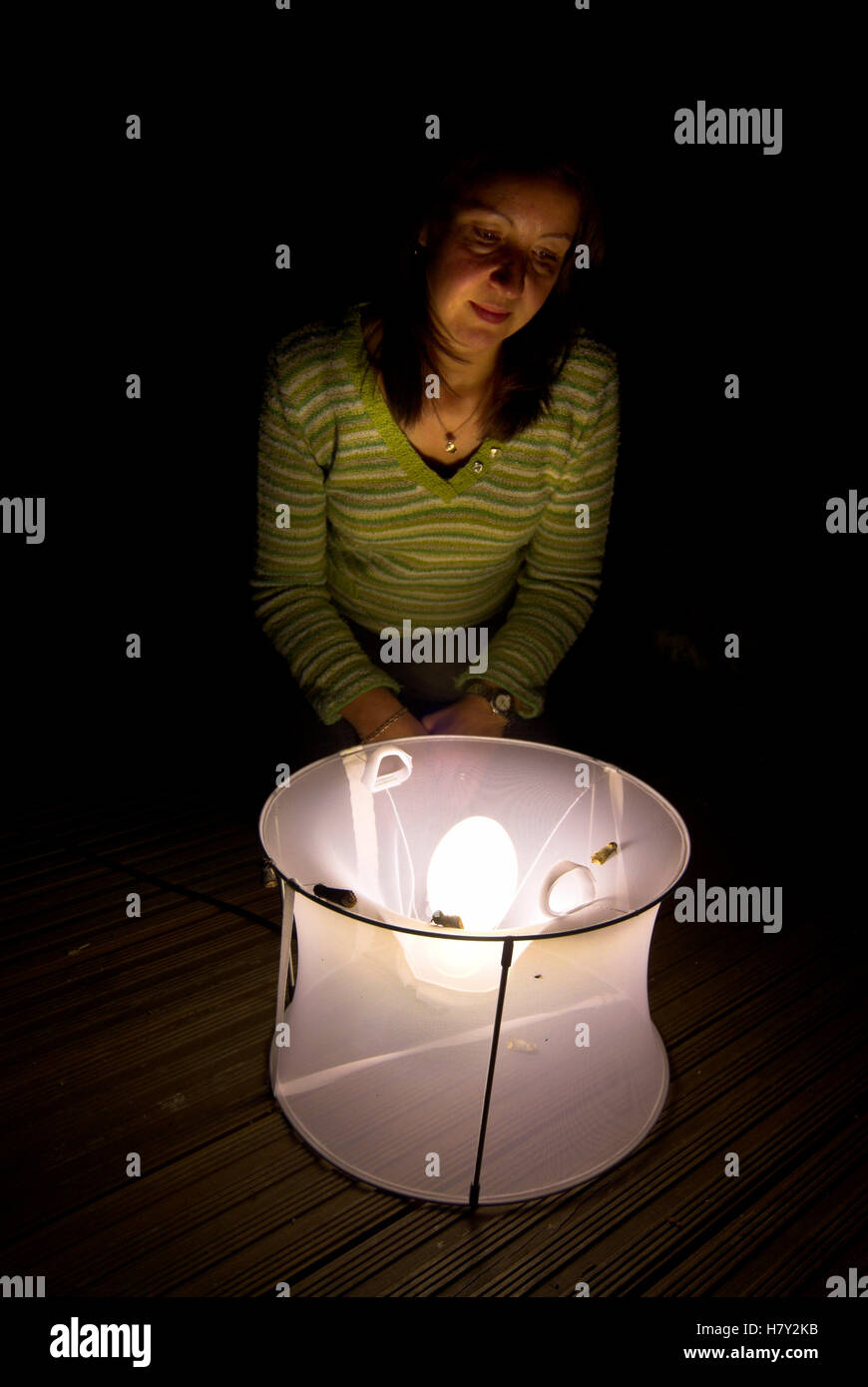 Moth trap night hi-res stock photography and images - Alamy