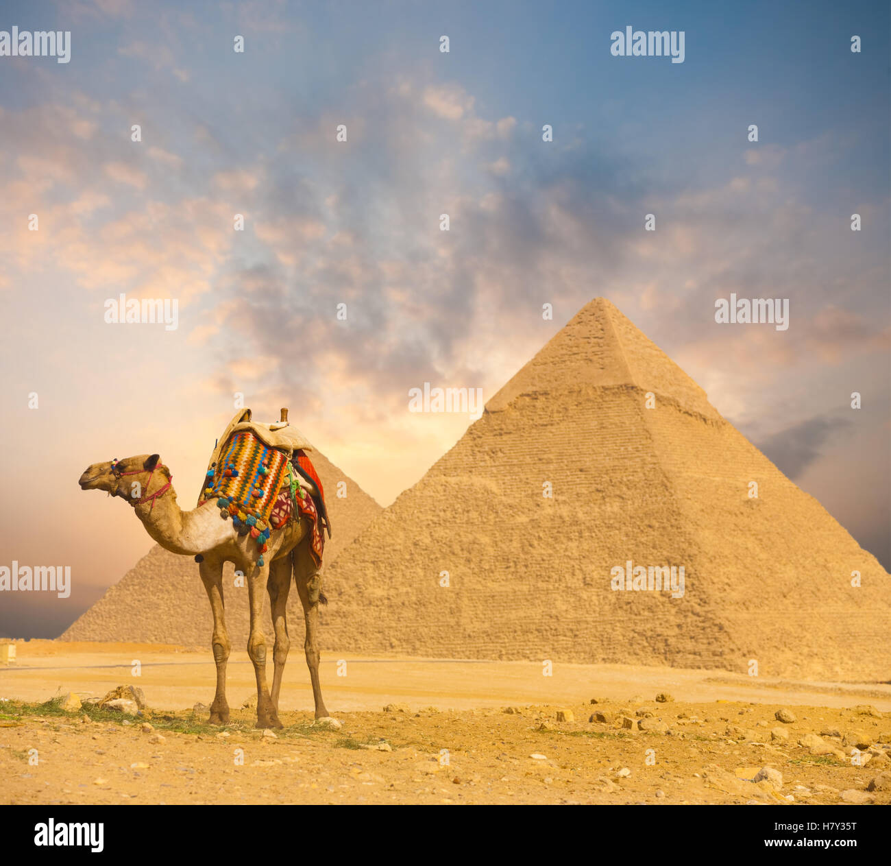 Wide sky sunset behind Egyptian Pyramids Khafre and colorfully ...
