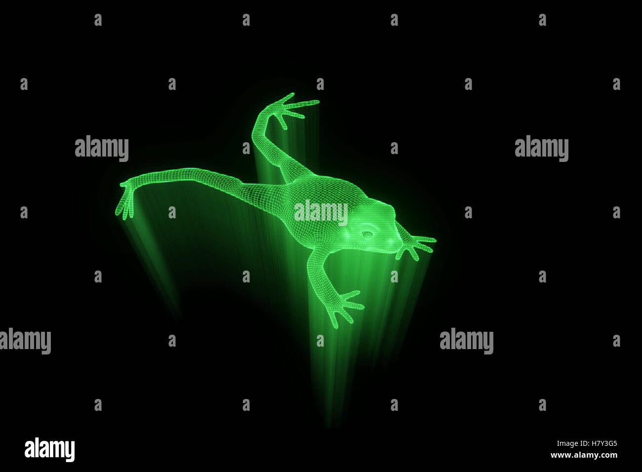 Frog in Hologram Wireframe Style. Nice 3D Rendering Stock Photo - Alamy