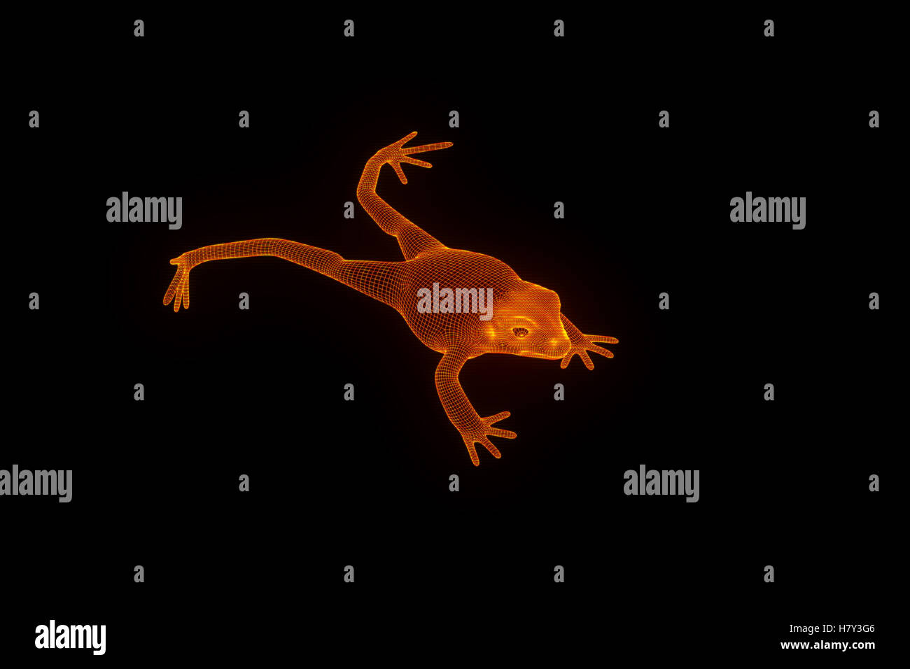 Frog in Hologram Wireframe Style. Nice 3D Rendering Stock Photo - Alamy