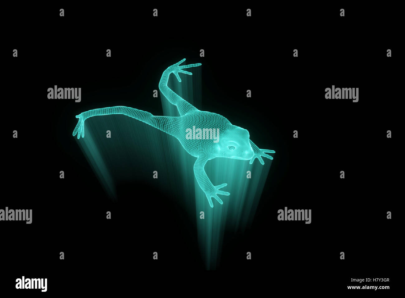 Frog in Hologram Wireframe Style. Nice 3D Rendering Stock Photo - Alamy