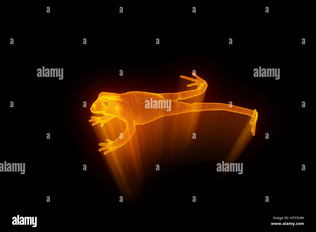 Frog in Hologram Wireframe Style. Nice 3D Rendering Stock Photo - Alamy