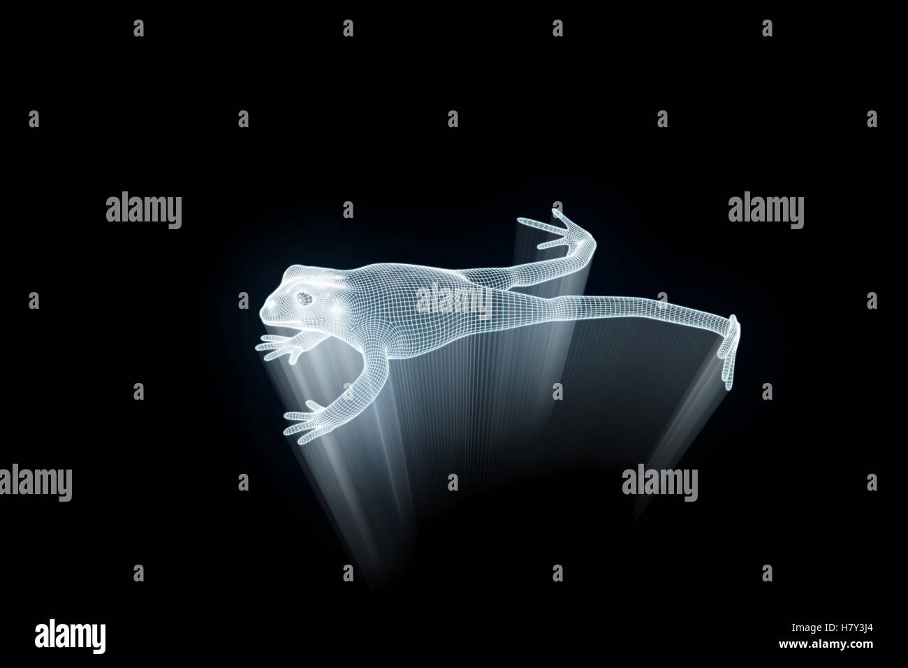 Frog in Hologram Wireframe Style. Nice 3D Rendering Stock Photo - Alamy