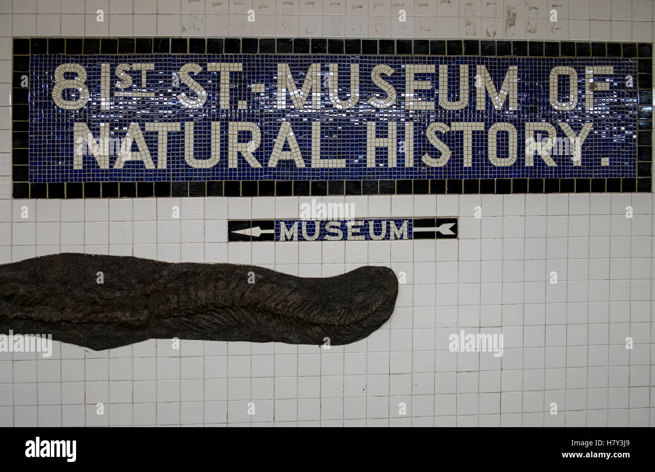 The station wall at 81st and Museum of Natural History subway train ...