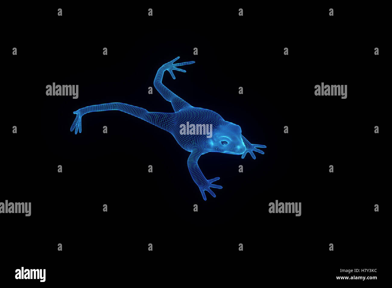 Frog in Hologram Wireframe Style. Nice 3D Rendering Stock Photo - Alamy