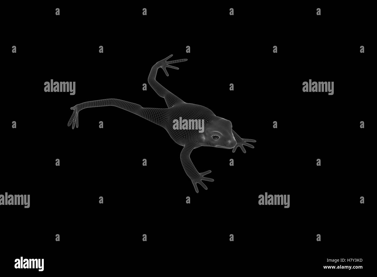 Frog in Hologram Wireframe Style. Nice 3D Rendering Stock Photo - Alamy