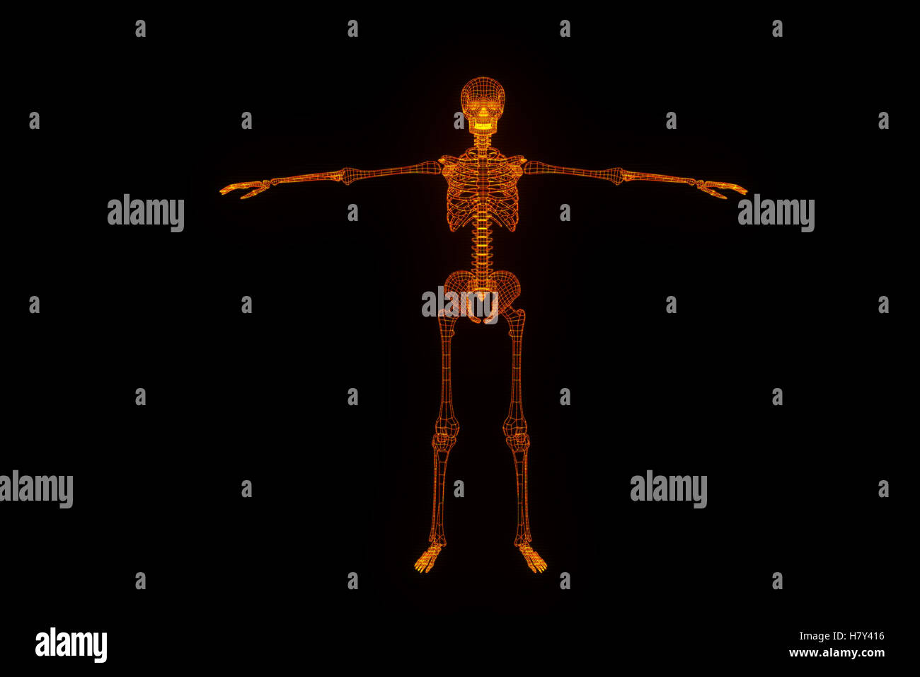 Human Skeleton Wireframe Hologram in Motion. Nice 3D Rendering Stock ...