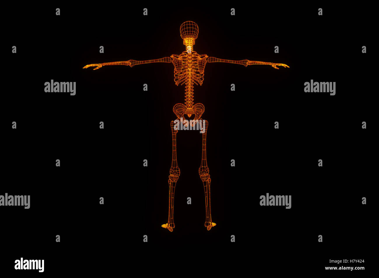 Human Skeleton Wireframe Hologram in Motion. Nice 3D Rendering Stock ...