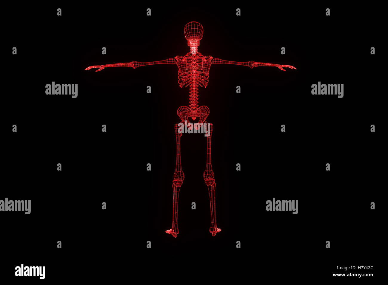 Human Skeleton Wireframe Hologram in Motion. Nice 3D Rendering Stock ...