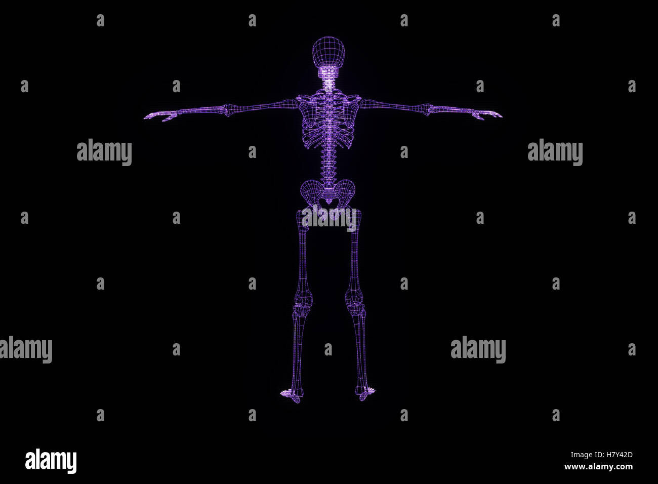 Human Skeleton Wireframe Hologram in Motion. Nice 3D Rendering Stock ...