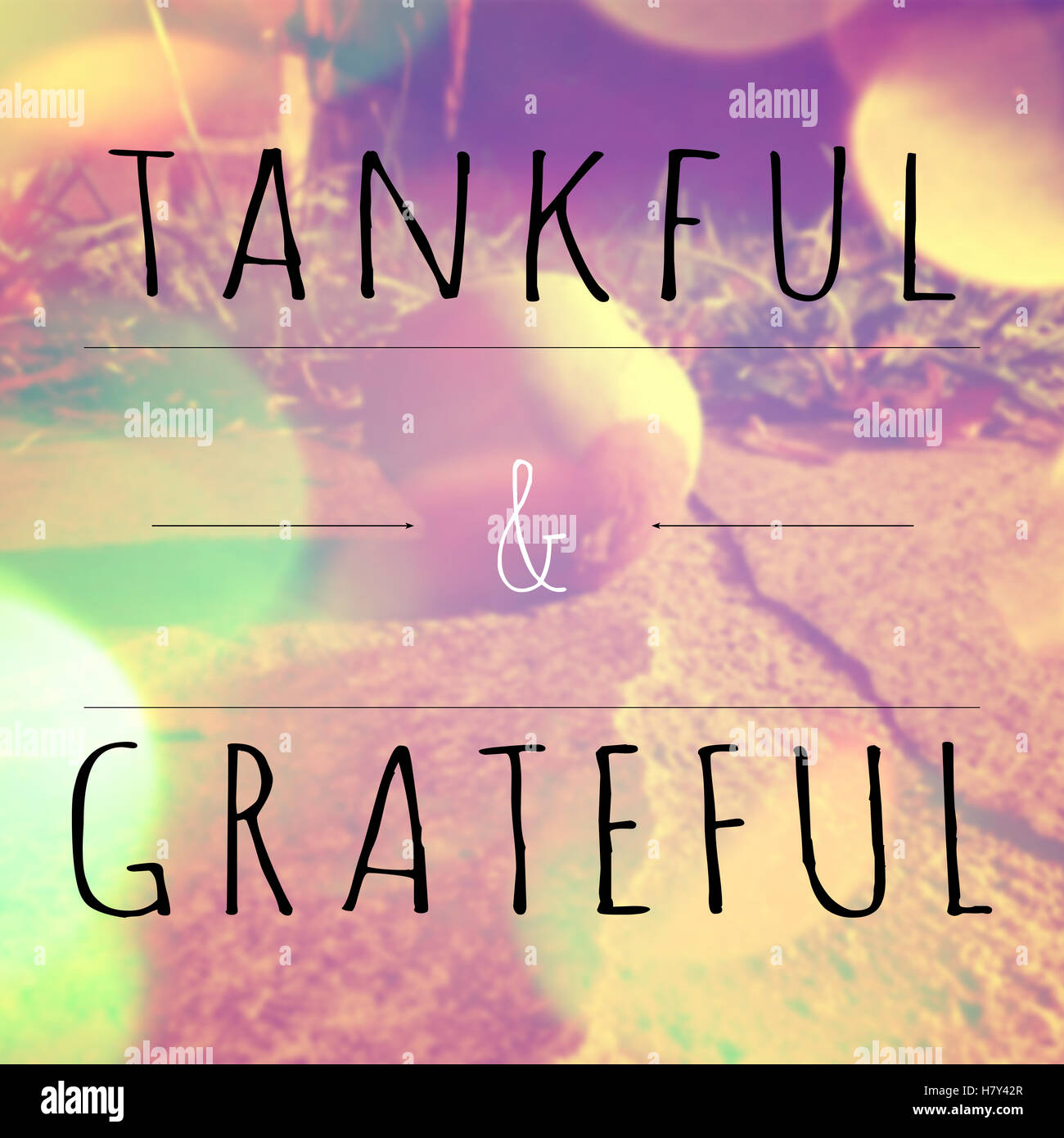 Thankful and grateful text quote on background with filtered effect ...