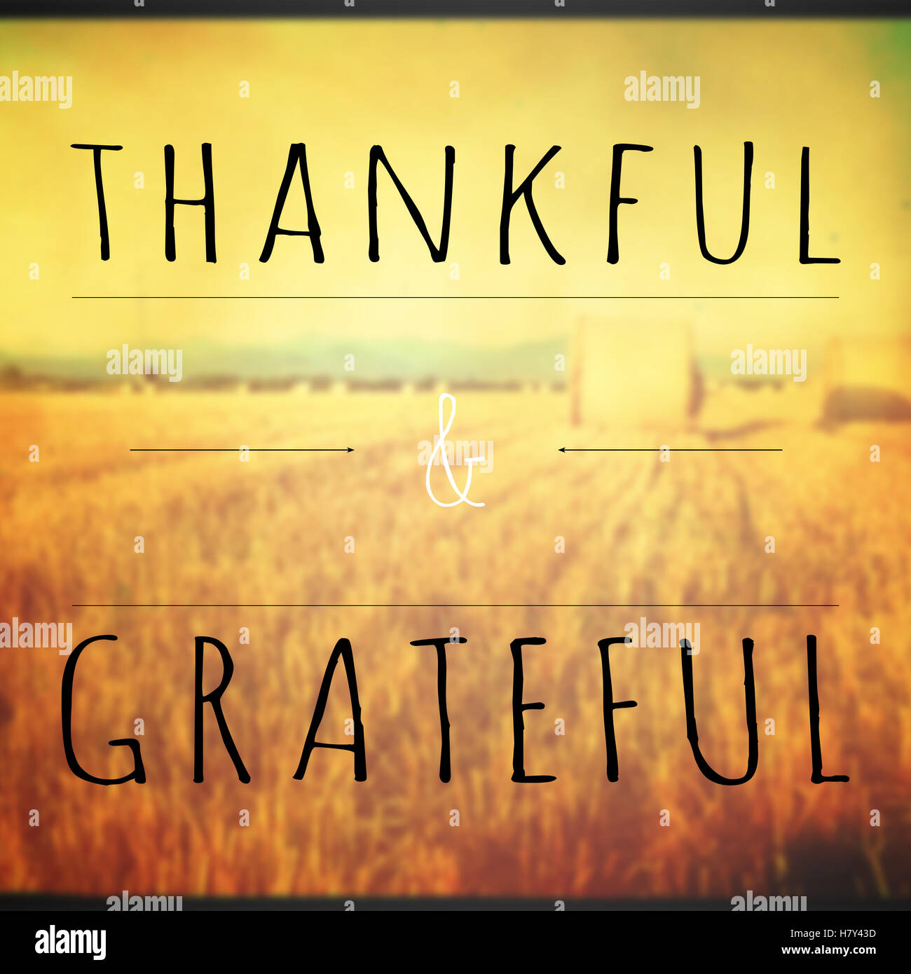 Motivational background quote with thankful and grateful text Stock ...