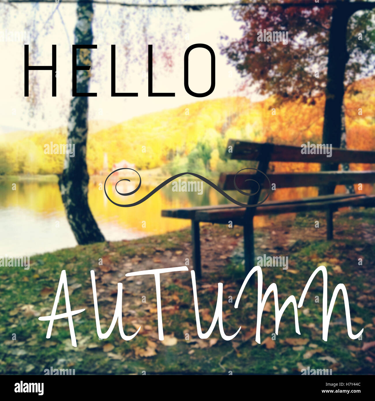 Inspirational quote with hello autumn text on blurred background with ...