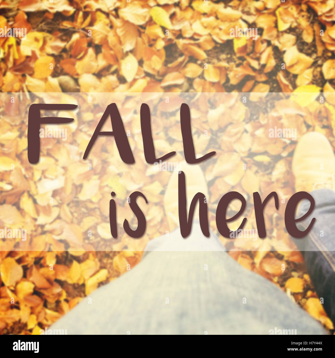 Inspirational typographic quote about fall on blurred background with ...