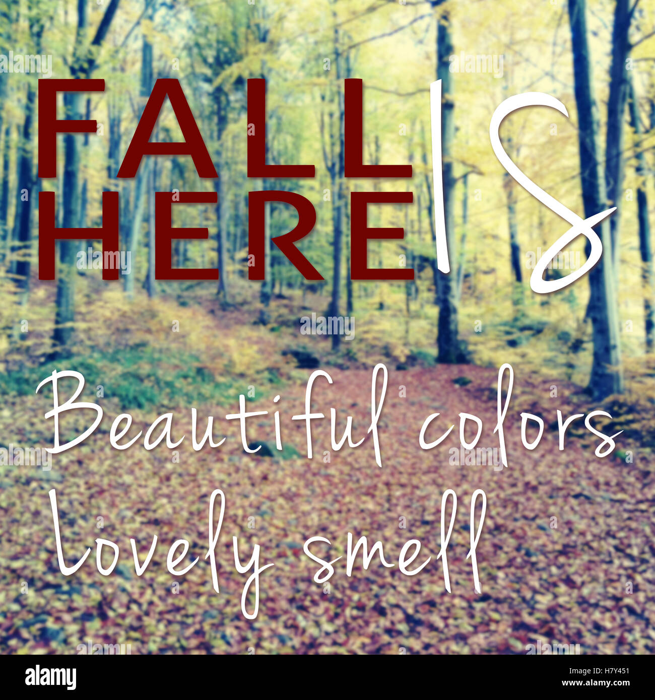 Fall Background Quotes