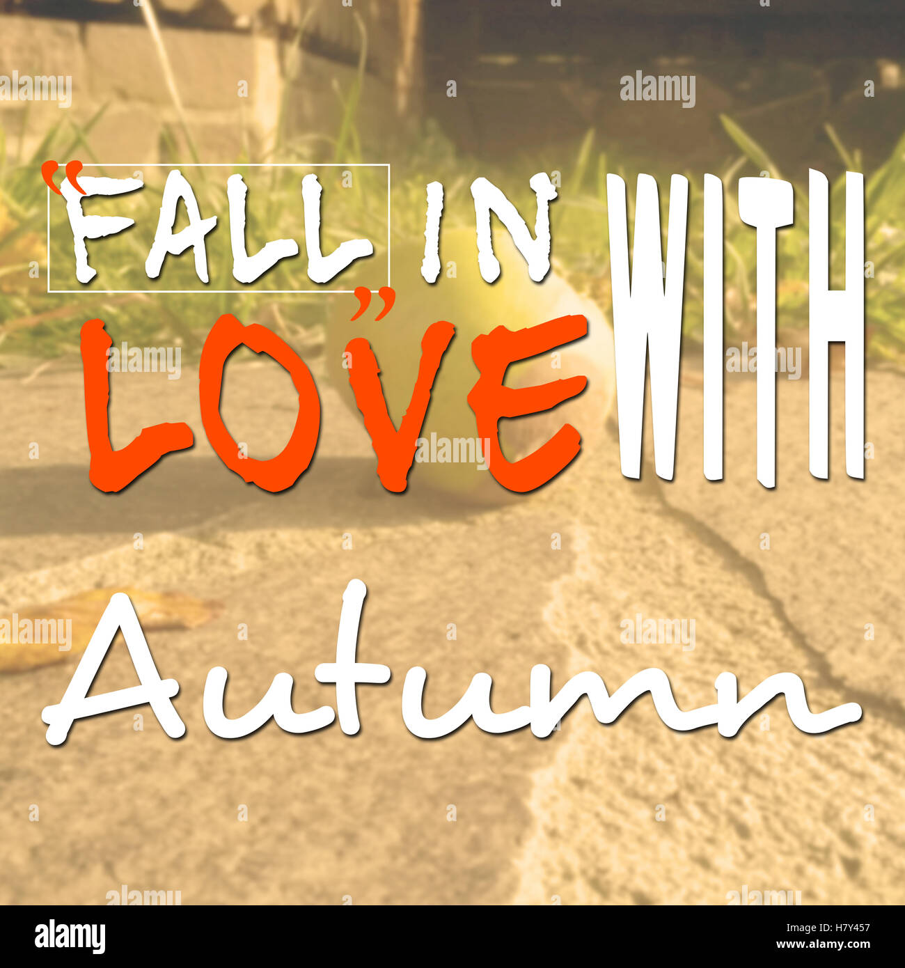 Motivational message about autumn season on blurred background on warm ...