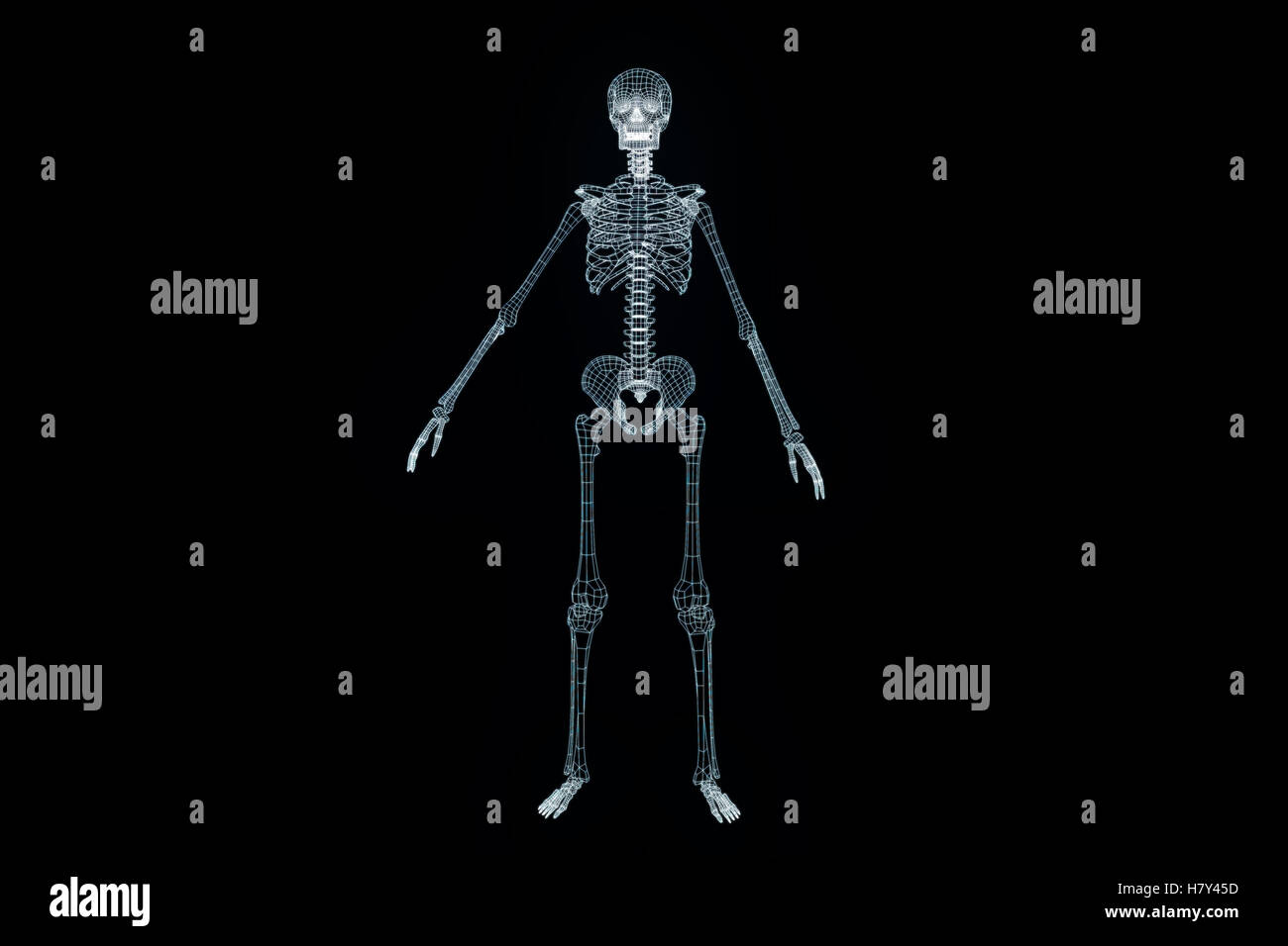 Human Skeleton Wireframe Hologram in Motion. Nice 3D Rendering Stock ...