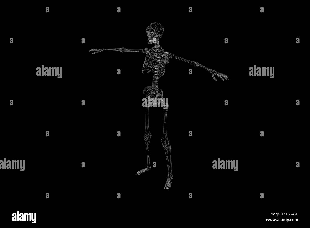 Human Skeleton Wireframe Hologram in Motion. Nice 3D Rendering Stock ...