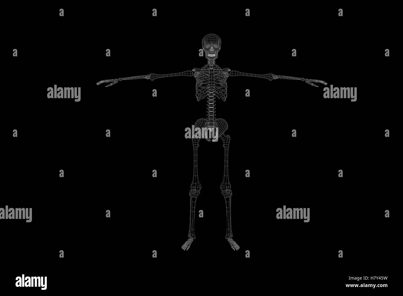 Human Skeleton Wireframe Hologram in Motion. Nice 3D Rendering Stock ...