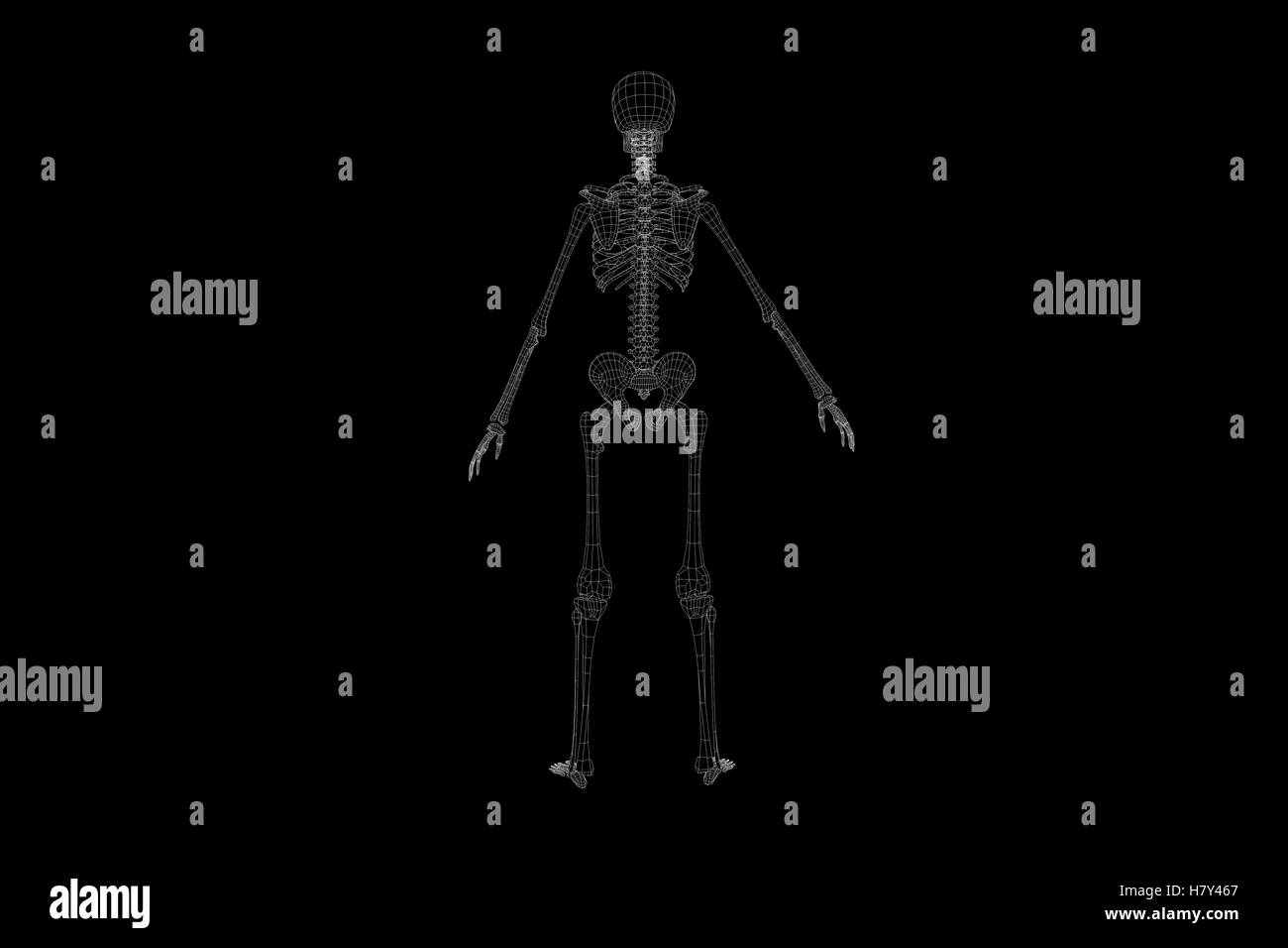 Human Skeleton Wireframe Hologram in Motion. Nice 3D Rendering Stock ...