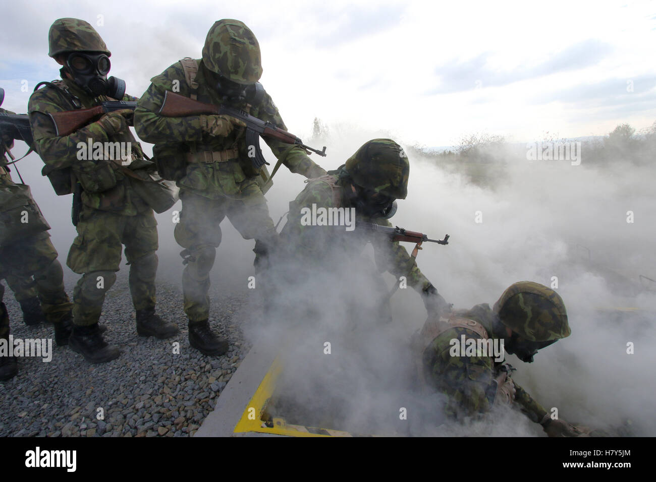 Exercise of active military reserves, soldier, Czech Army Stock Photo ...