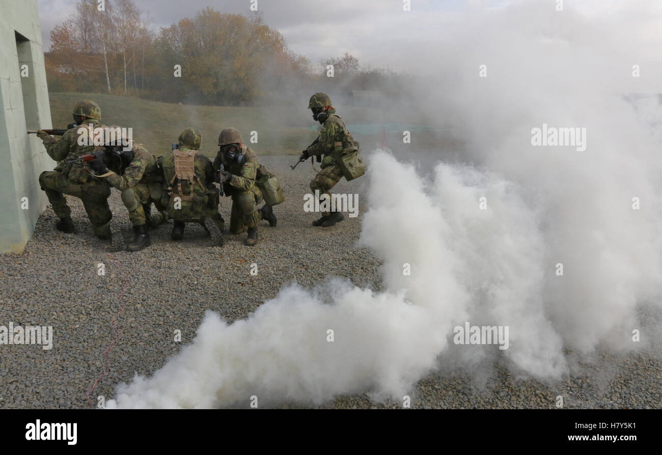 Exercise of active military reserves, soldier, Czech Army Stock Photo ...