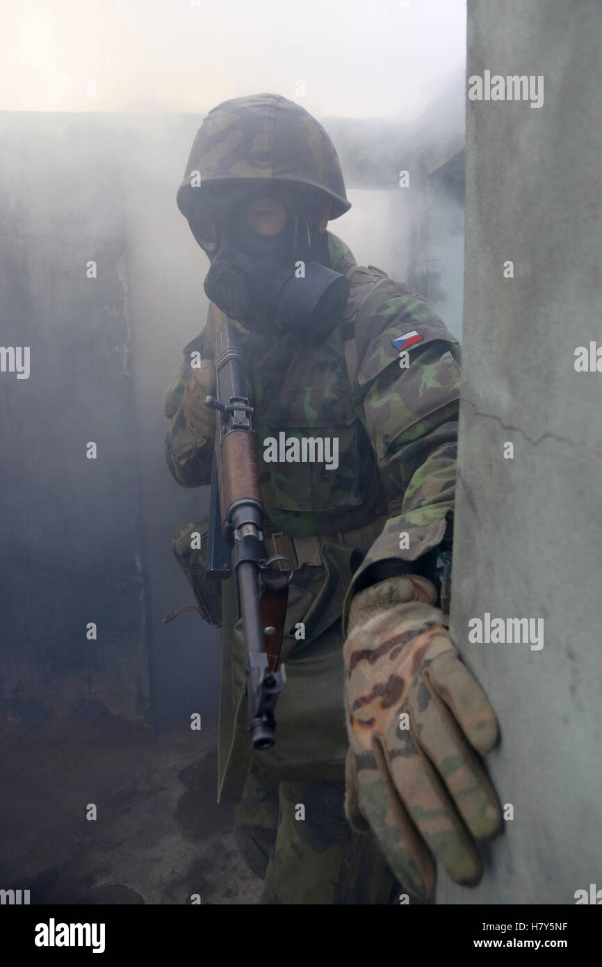 Exercise of active military reserves, soldier, Czech Army Stock Photo ...