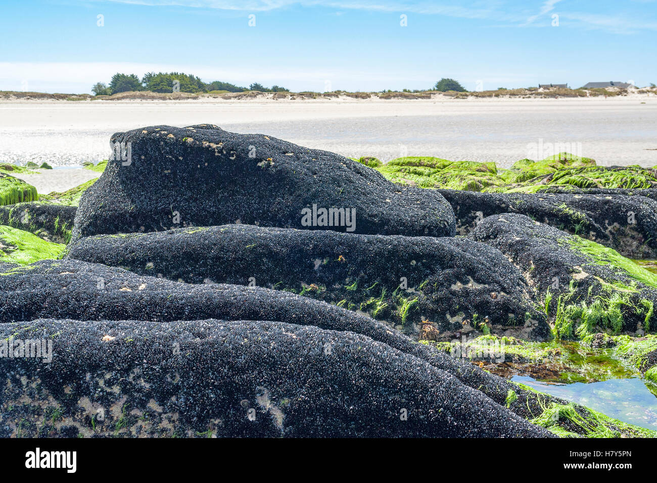 Dense formation hi-res stock photography and images - Alamy