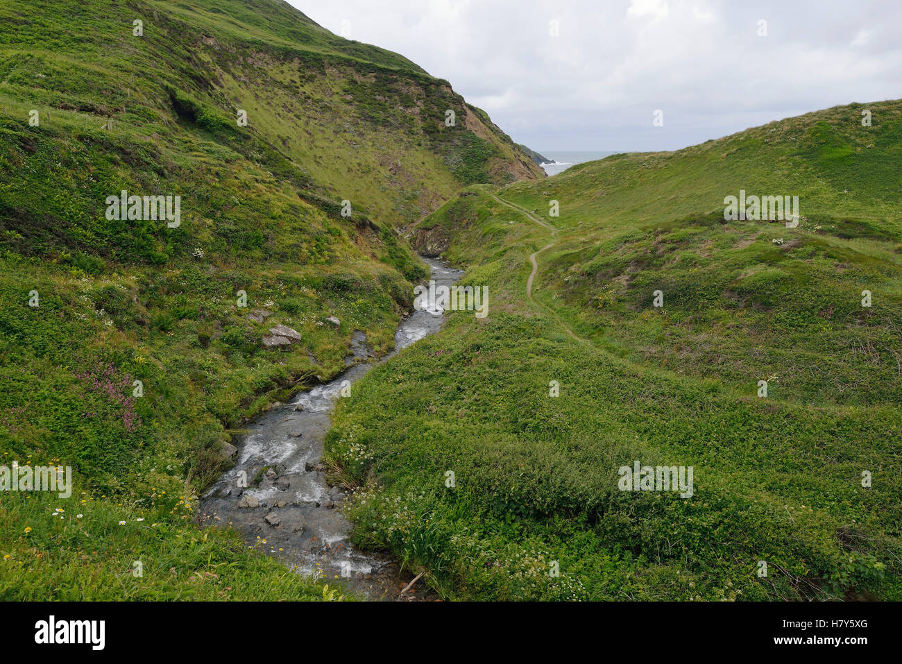 Cornwall Devon Border High Resolution Stock Photography and Images - Alamy