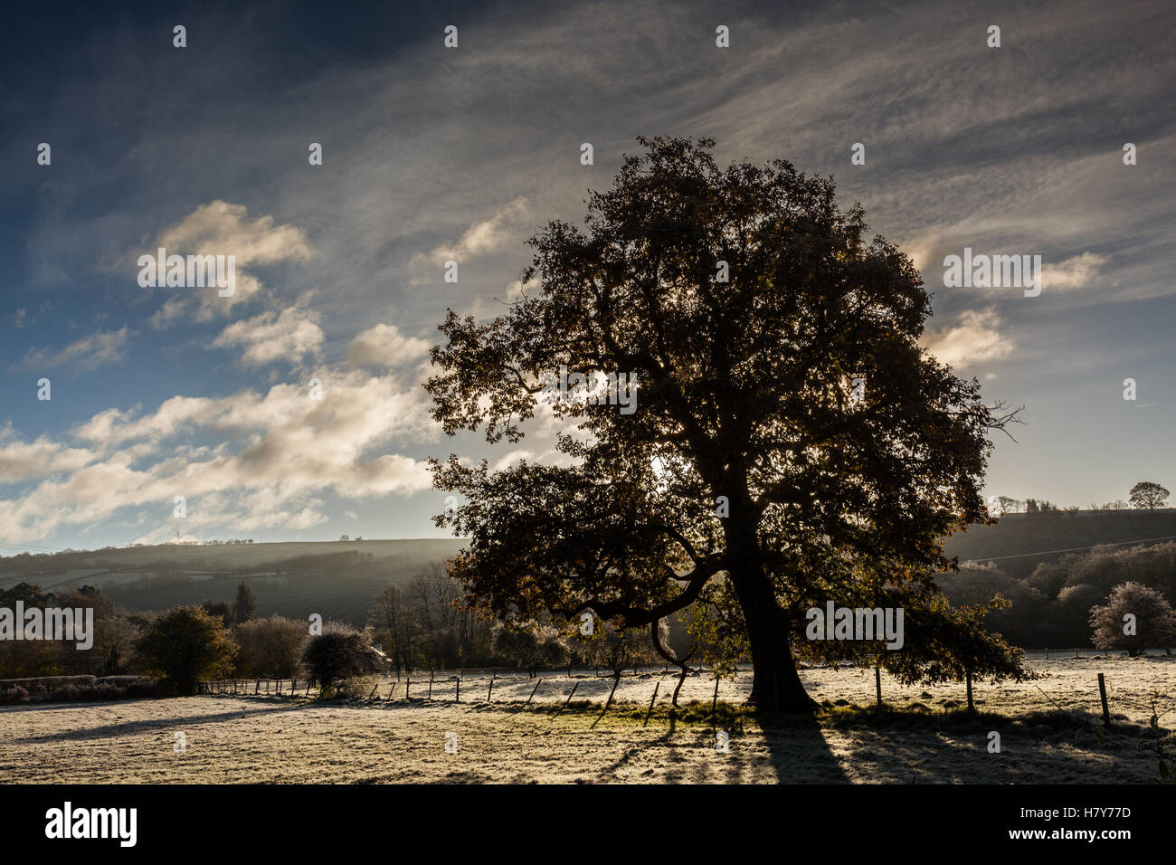 Rural carmarthenshire hi-res stock photography and images - Alamy