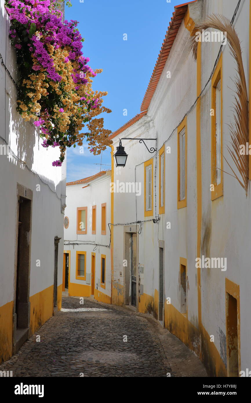 EVORA, PORTUGAL: A narrow cobbled street inside old town with colourful ...