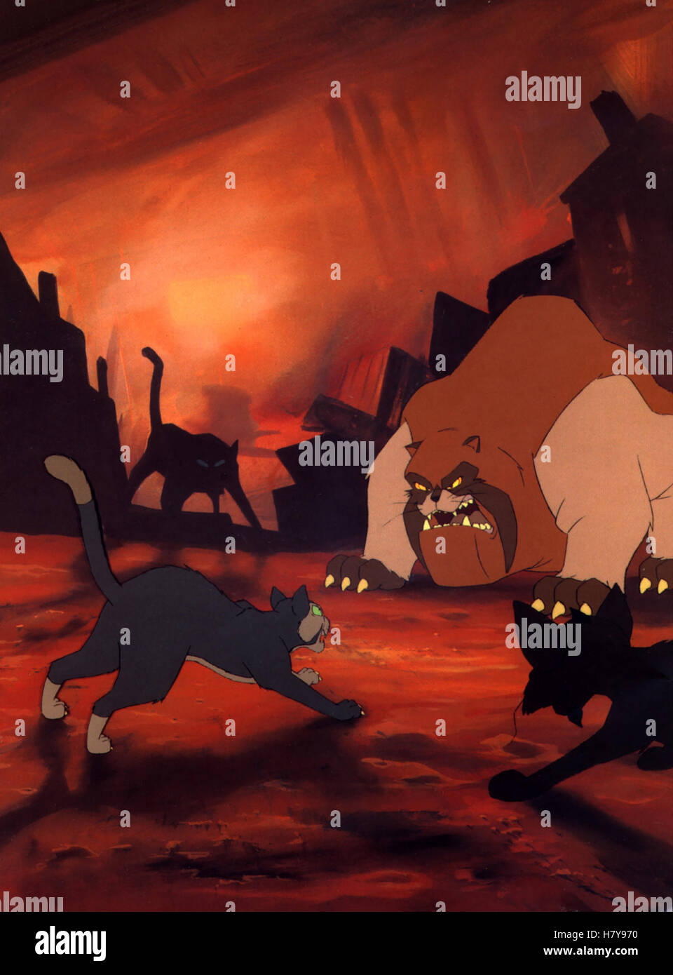 Felidae, (FELIDAE) D 1993, Regie: Michael Schaack Stock Photo - Alamy