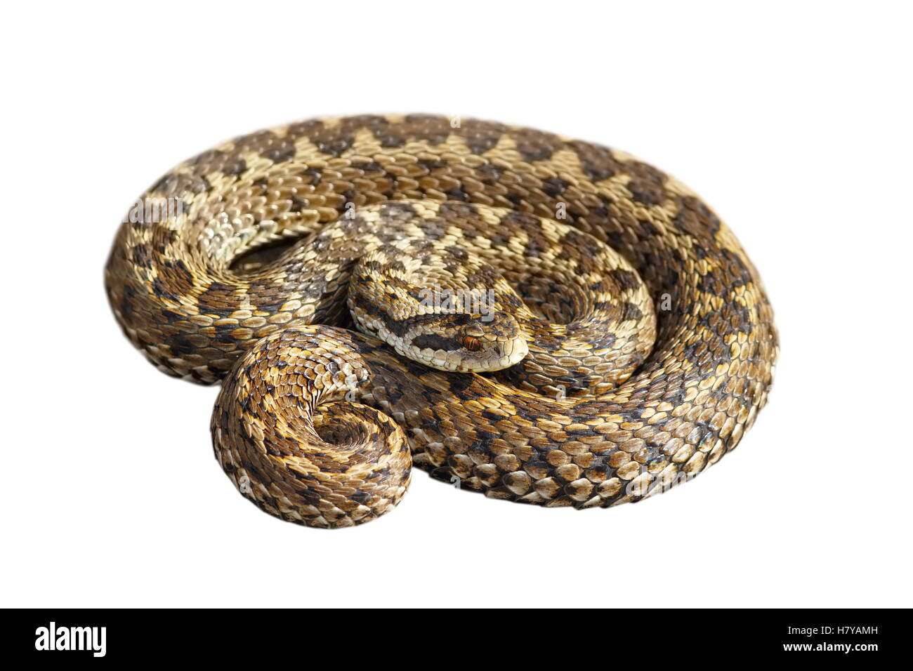 Full adder background hi-res stock photography and images - Alamy