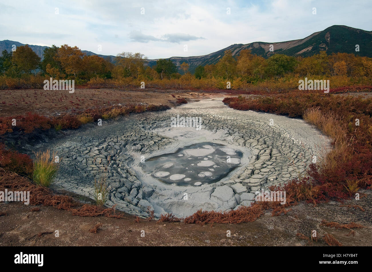 Geothermal mud pool, Kamchatka, Russia Stock Photo - Alamy