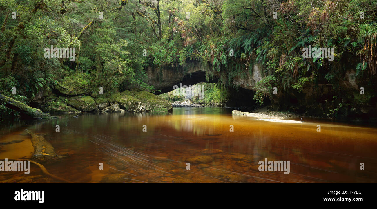 Moria Gate Arch, Oparara Valley, Kahurangi National Park, New Zealand ...