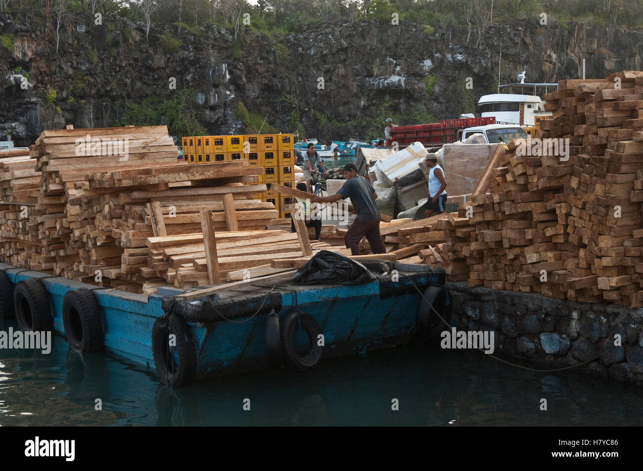 Loading timber on the dock for export to the mainland, Puerto Ayora ...