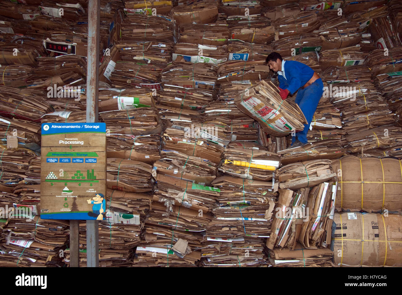 Cardboard recycling with worker, Santa Cruz Island, Galapagos Islands ...