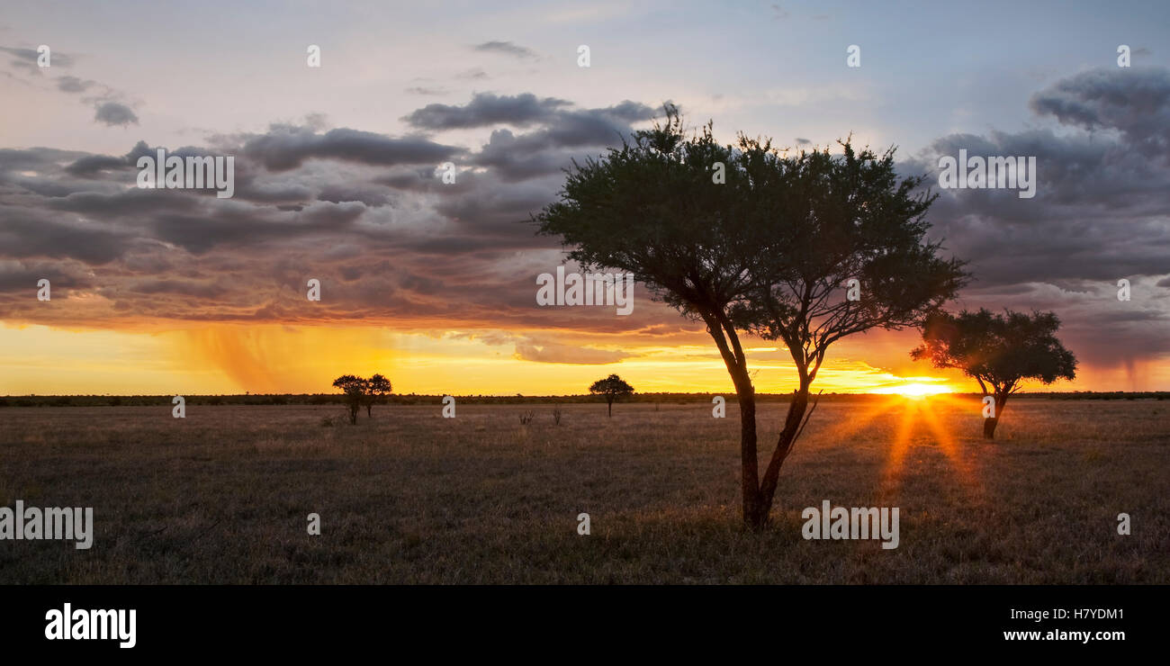 Sunset over plains, Khutse Game Reserve, Botswana Stock Photo - Alamy