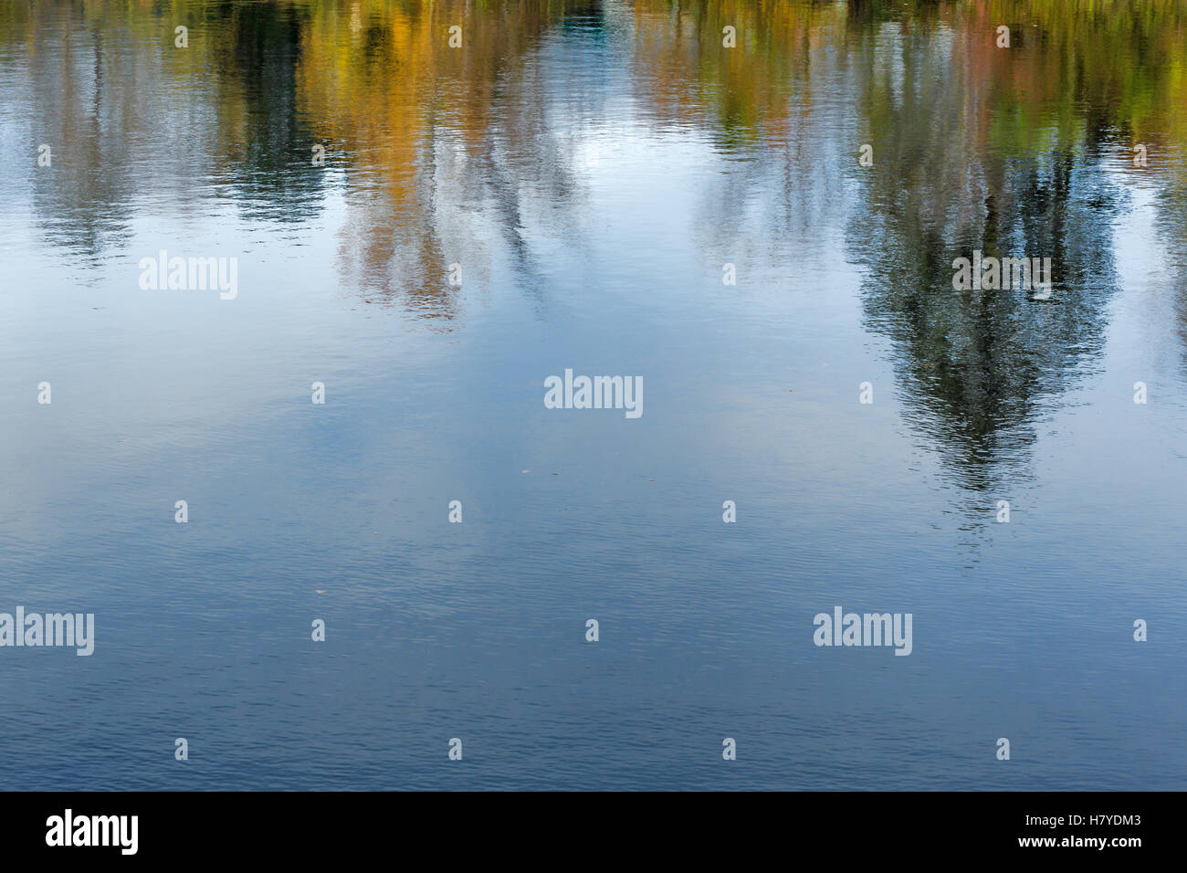 Sky and fall foliage hi-res stock photography and images - Alamy