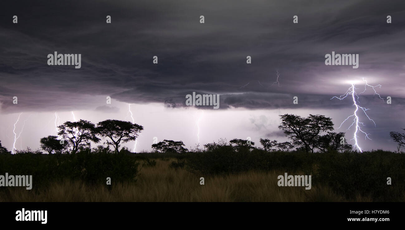 Thunder storm with lightning bolts over Kalahari, Khutse Game Reserve ...