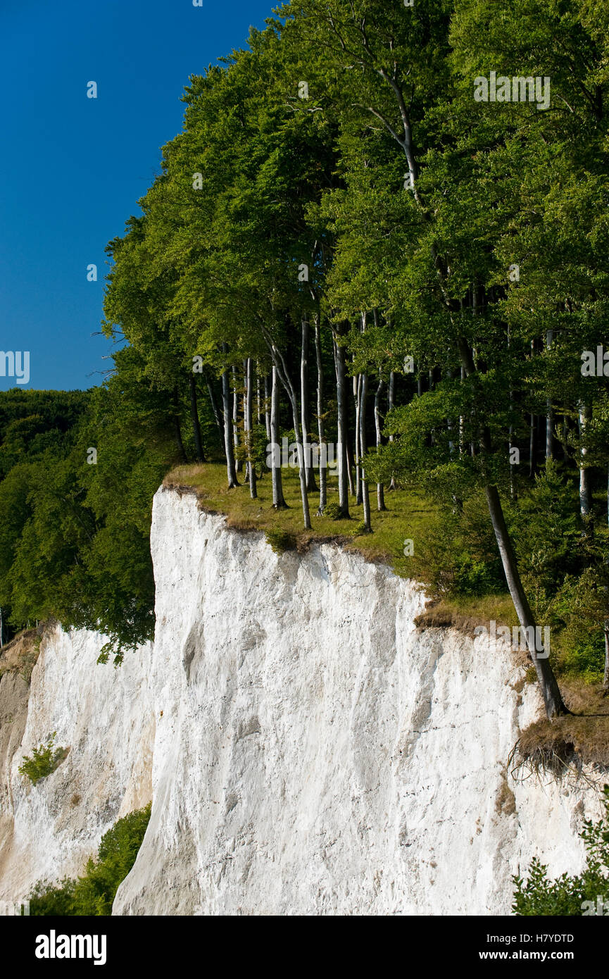 Chalk cliffs, Jasmund National Park, Mecklenburg Vorpommern, Germany ...