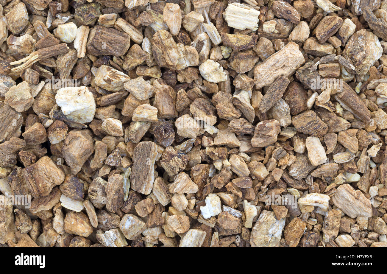 Burdock root hi-res stock photography and images - Alamy