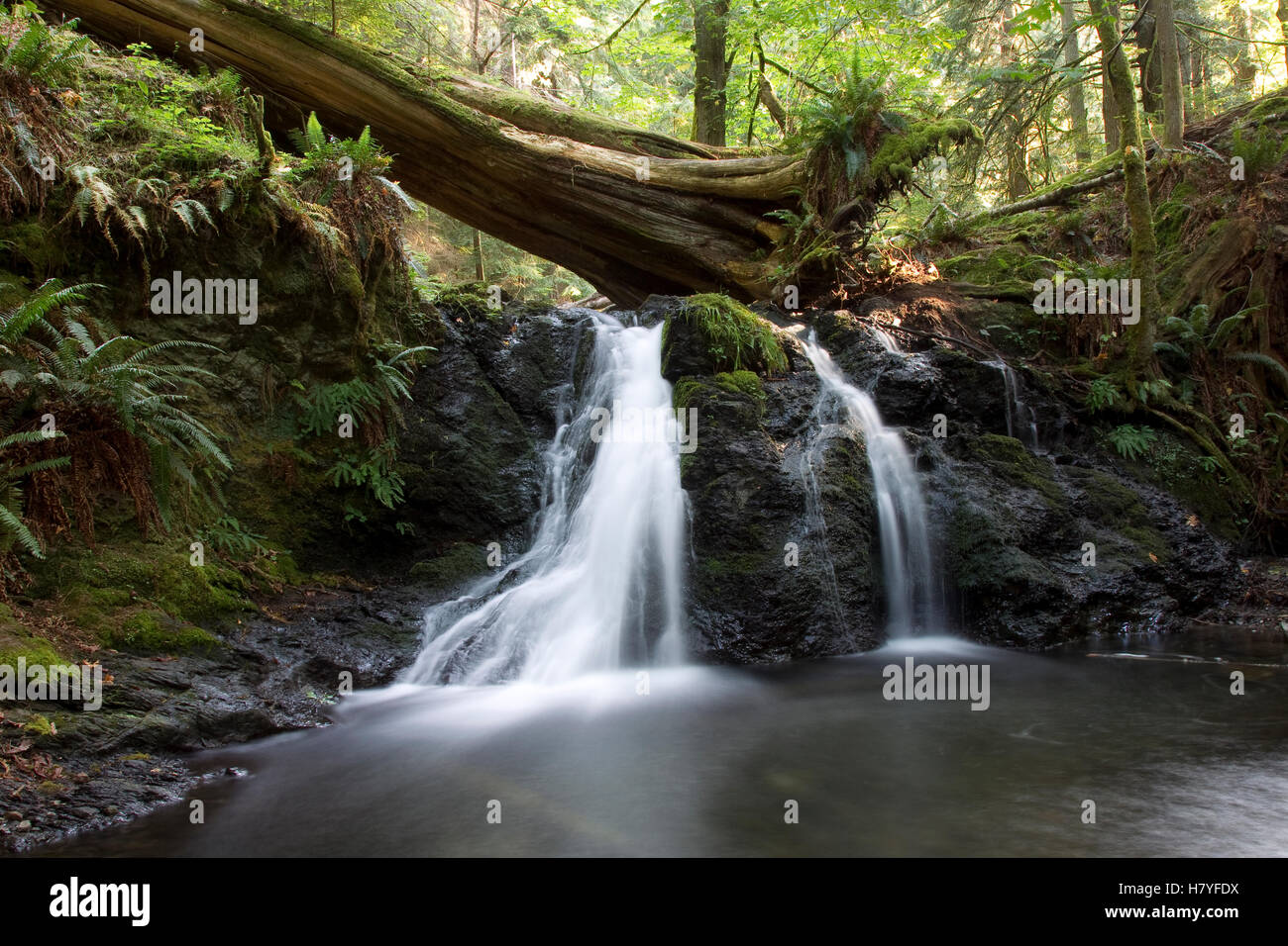 Upper Cascade Falls, Moran State Park, Orcas Island, Washington Stock ...