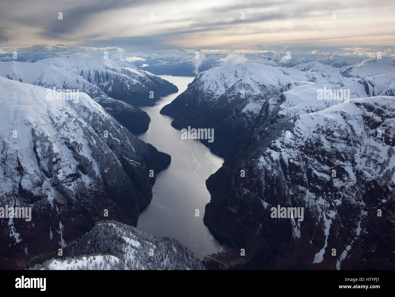 Walker Cove aerial, Misty Fjords National Monument, Alaska Stock Photo ...
