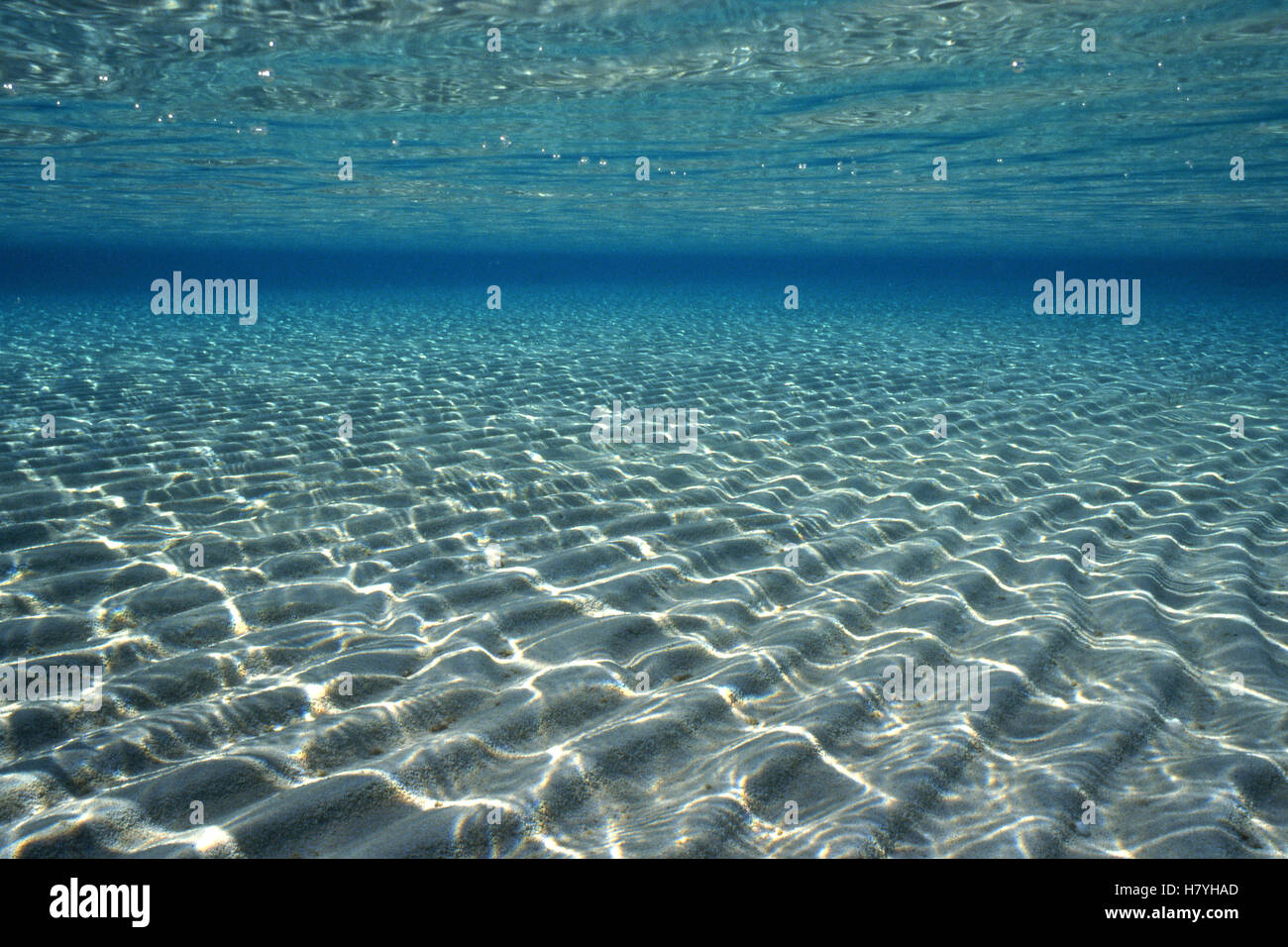 Ripple sand pattern in shallow water, Shark Bay, Western Australia ...