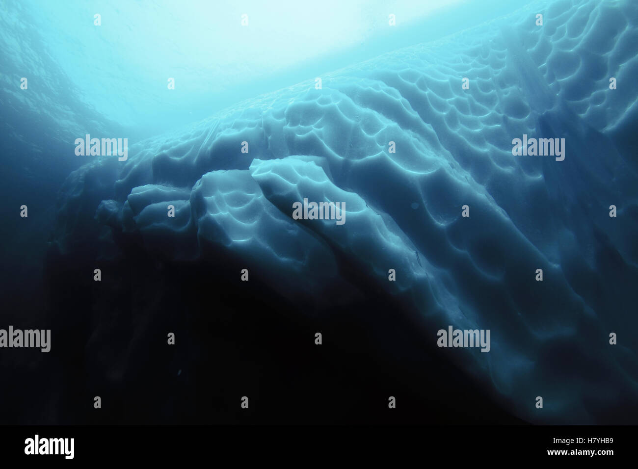 Iceberg underside in water, Antarctica Stock Photo - Alamy