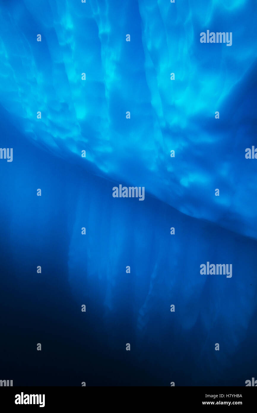 Iceberg underside in water, Antarctica Stock Photo - Alamy