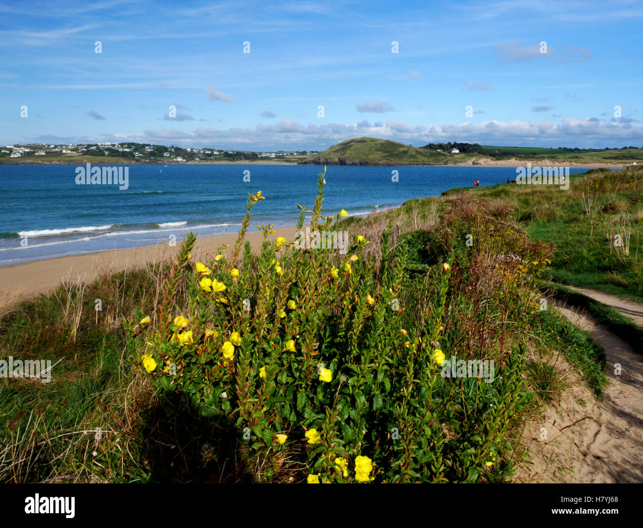 Looking across the River Camel estuary to Trebetherick from the coast ...