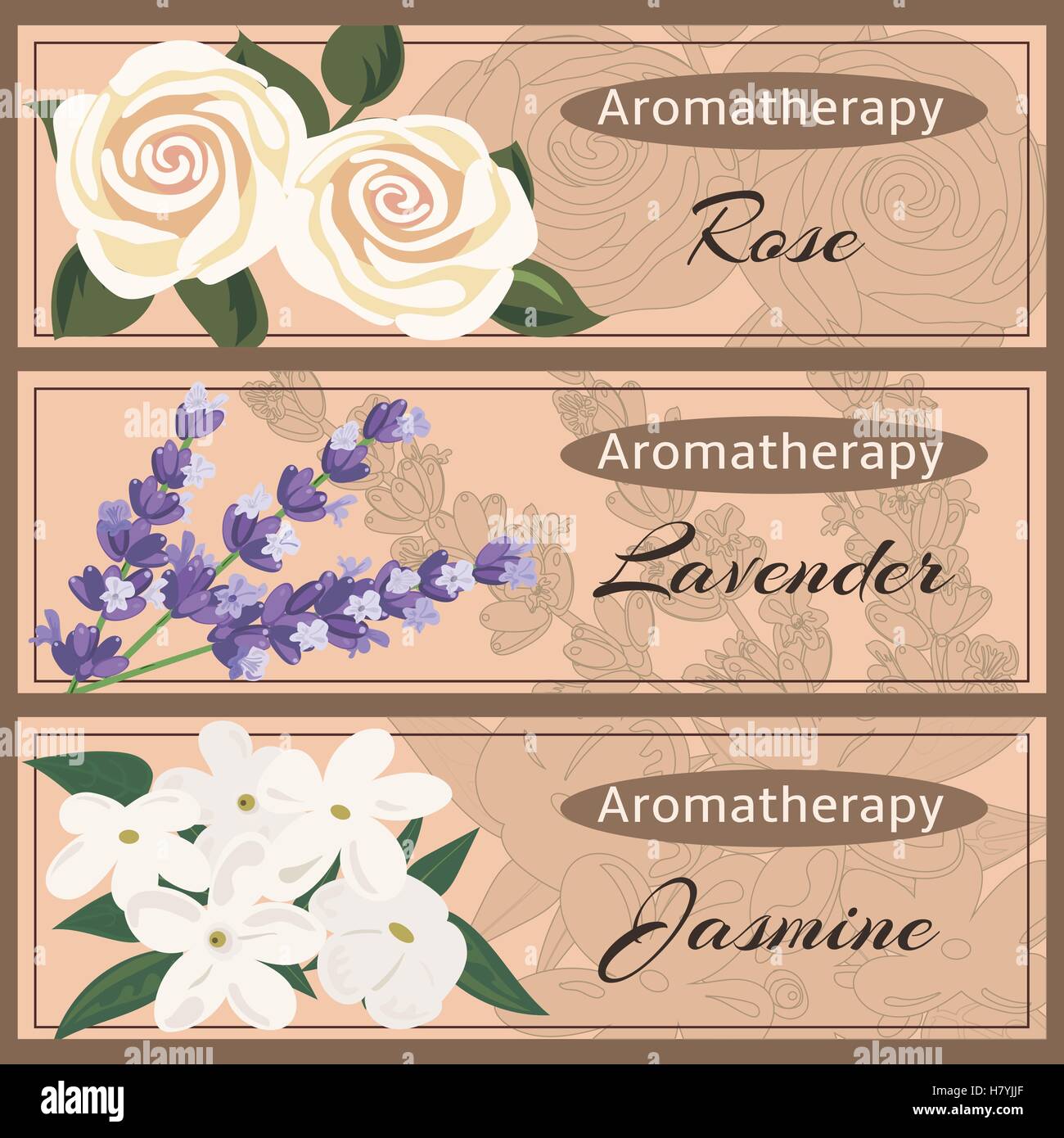 Herbal medicinal vector set hi-res stock photography and images - Alamy