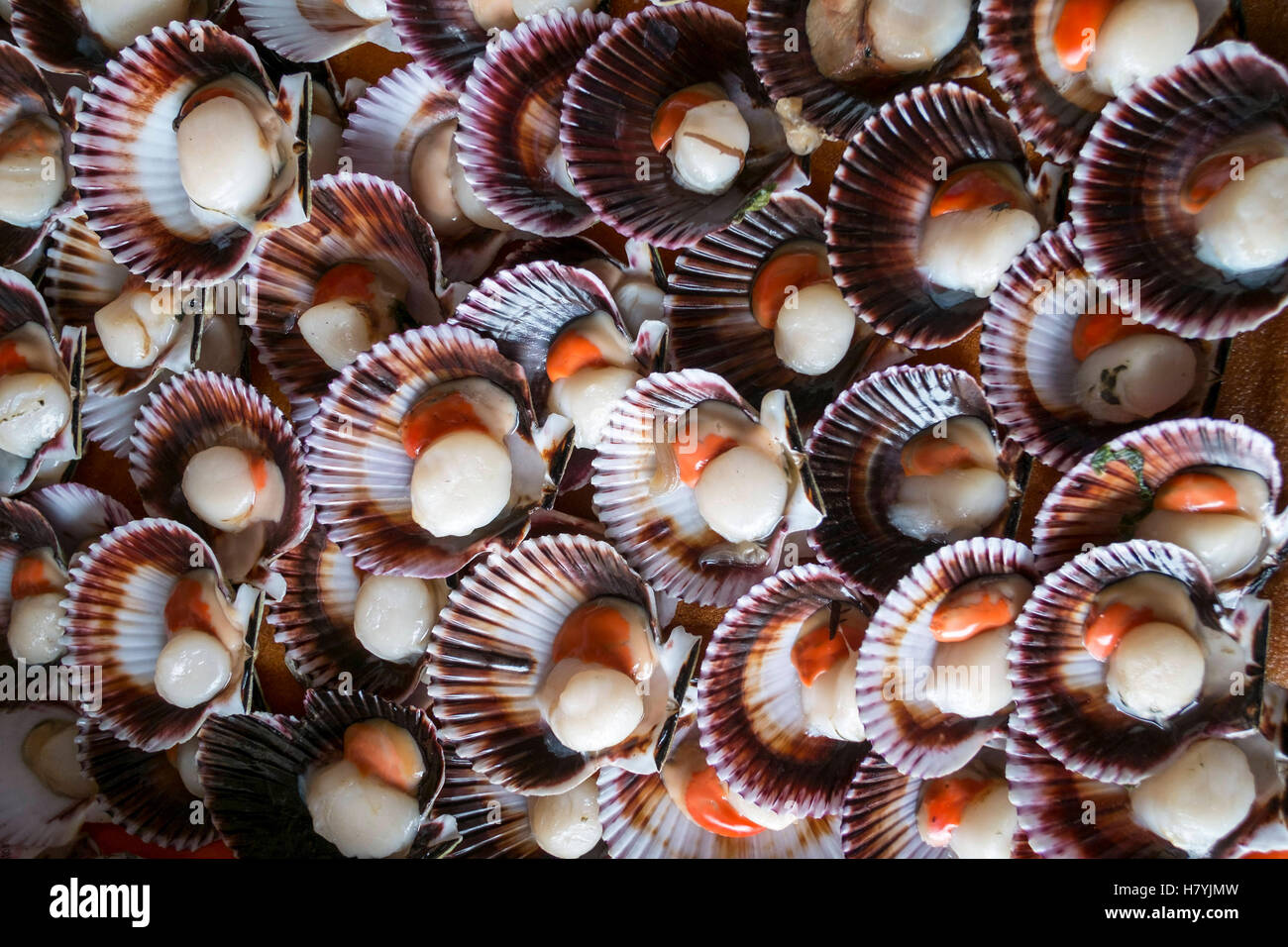 Chorrillos fishing harbour and market Lima , Peru. Fresh scallops Stock ...